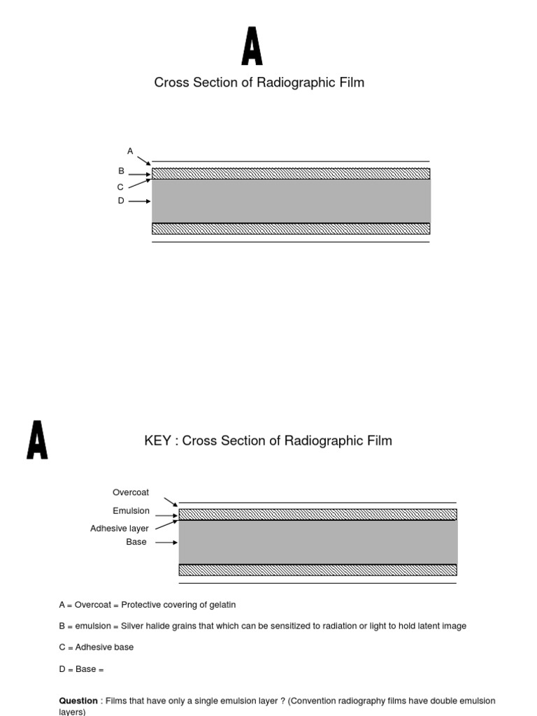 Cross Section of Radiographic Film | PDF | Scattering | X Ray