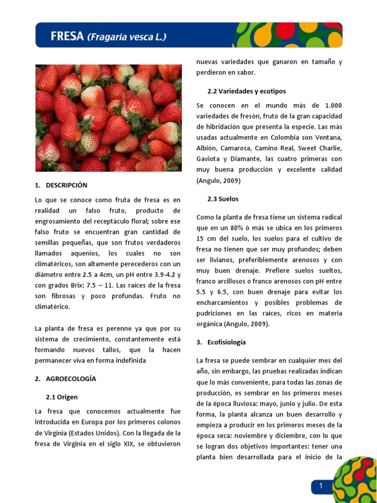 10.ficha Fresa