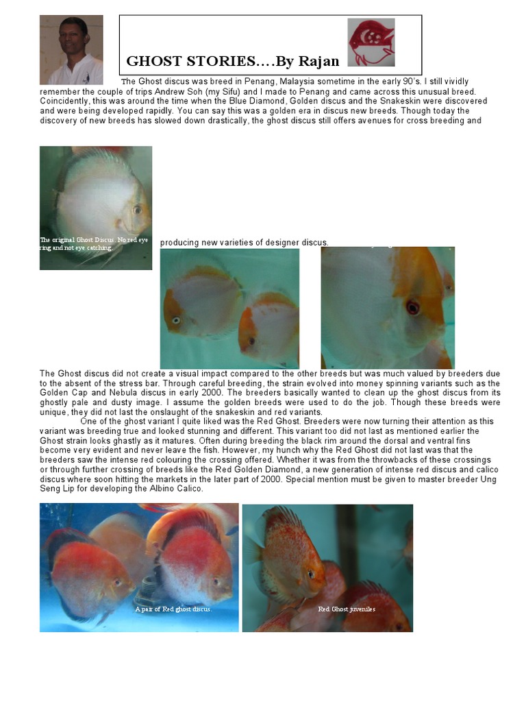 Ghost Discus | Download Free PDF | Nature