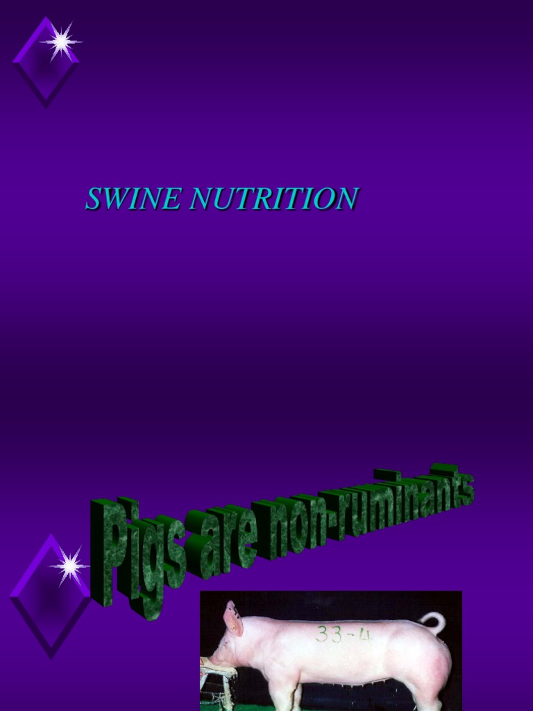 Swine Nutritions | PDF | Digestion | Dietary Fiber