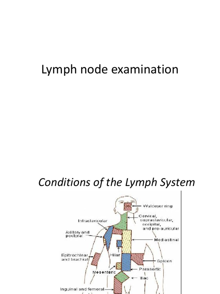 Lymph Node Ex | PDF