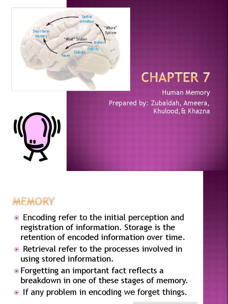 Psychology Chapter 7: Human Memory | Memory | Recall (Memory)