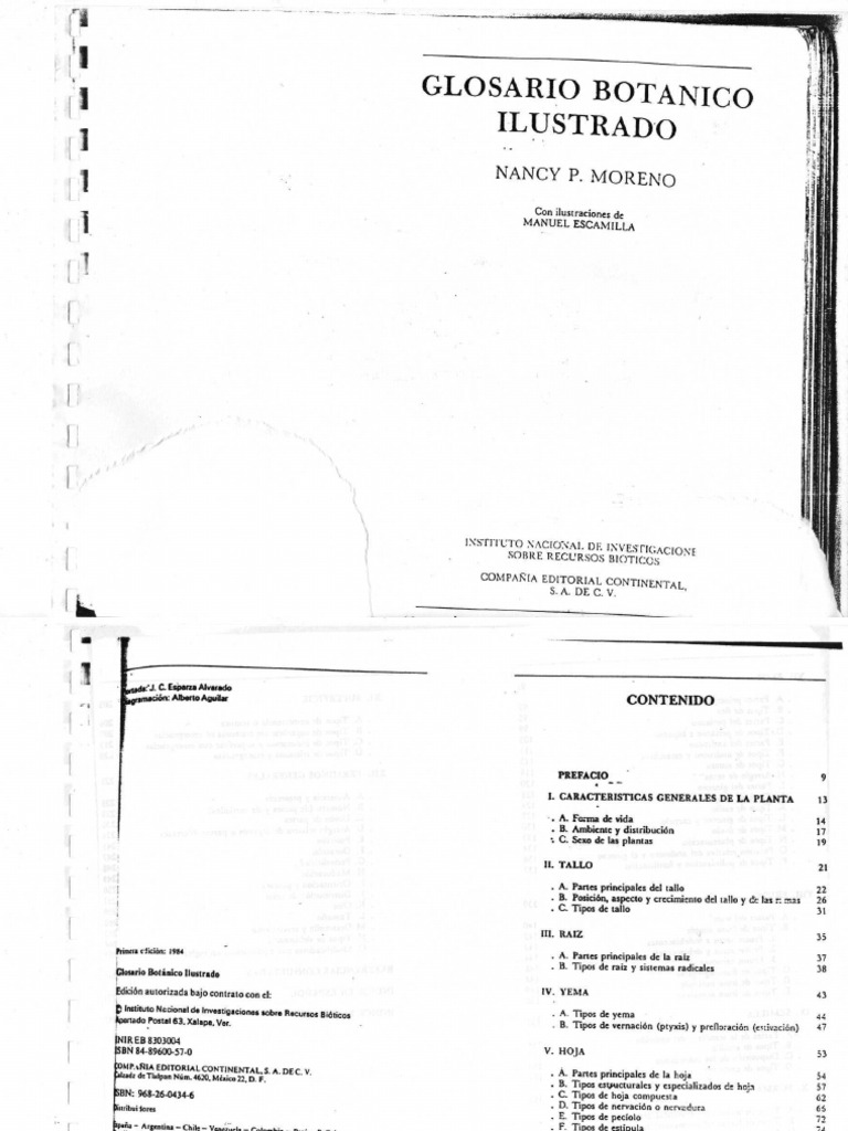 Glosario Botanico Ilustrado PDF | Descargar gratis PDF | Hoja | Tallo ...
