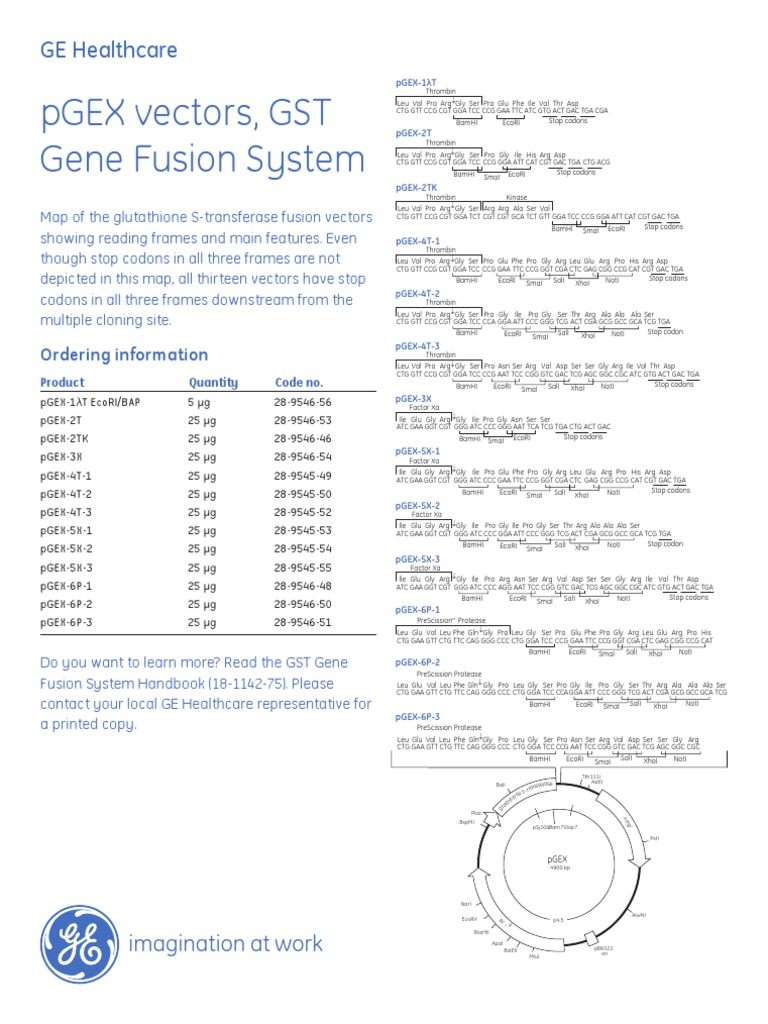 pGEX Vectors | PDF