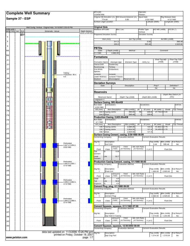 Complete Well Summary: Sample 37 - ESP | PDF | Geology | Earth Sciences