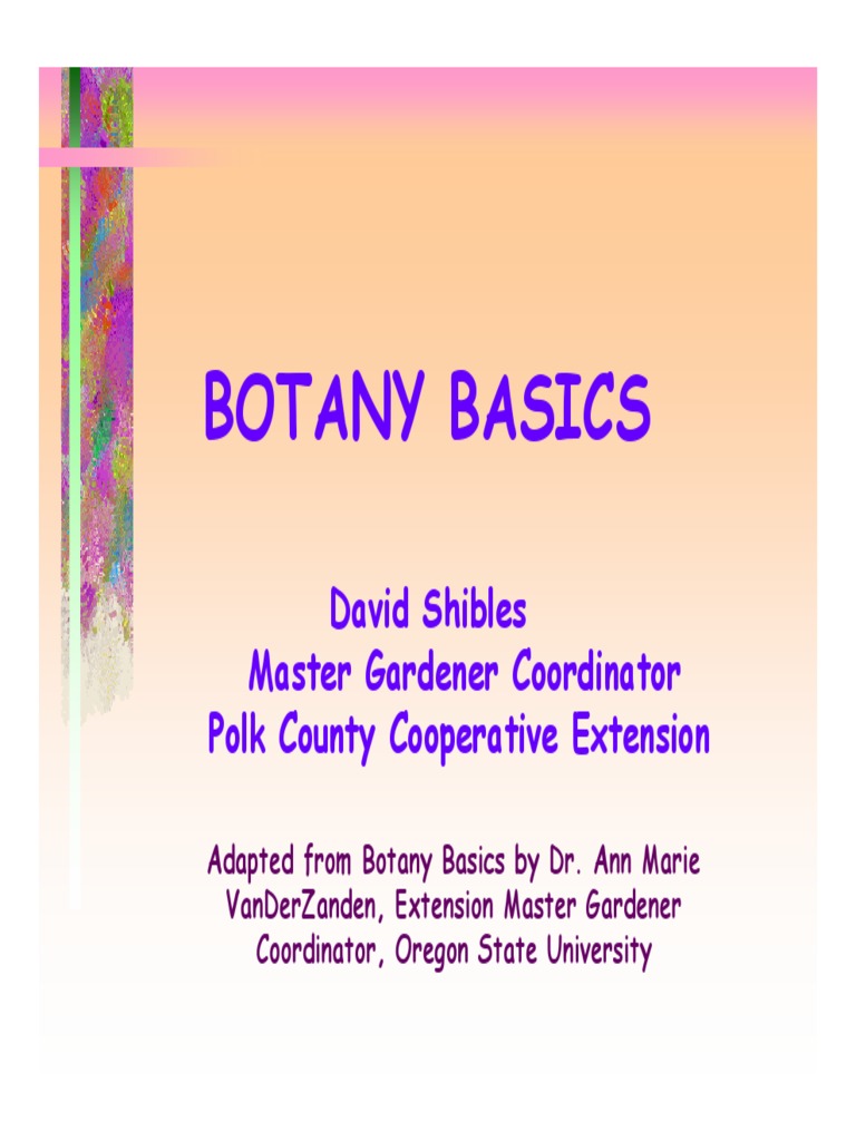 Basic Botany 2 | PDF | Root | Fruit