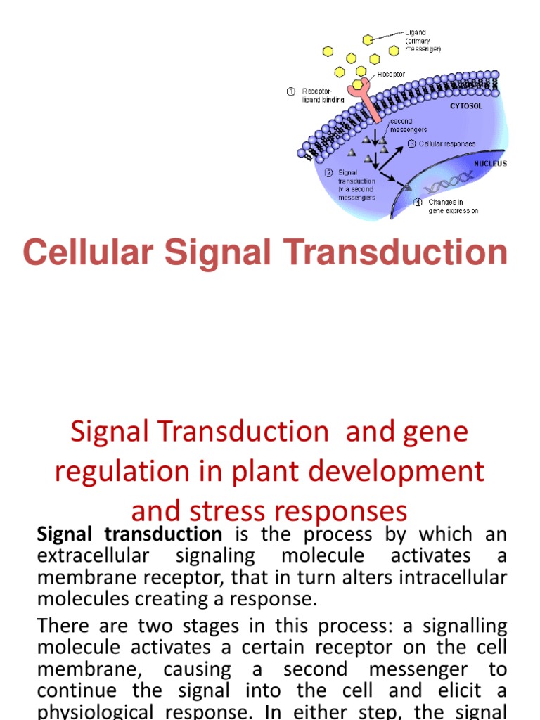 Signal Transduction and Gene Regulation in Plant Development | Download ...