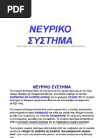 TO ΟΥΡΟΠΟΙΗΤΙΚΟ ΣΥΣΤΗΜΑ-ΑΝΑΤΟΜΙΑ | PDF