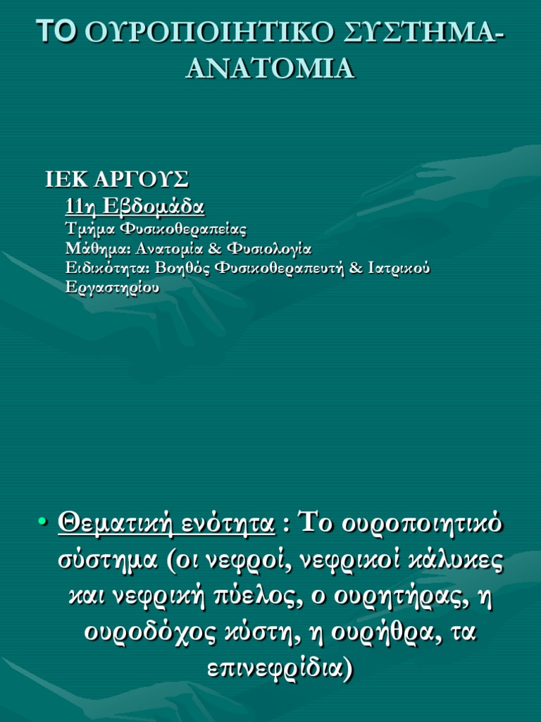 TO ΟΥΡΟΠΟΙΗΤΙΚΟ ΣΥΣΤΗΜΑ-ΑΝΑΤΟΜΙΑ | PDF
