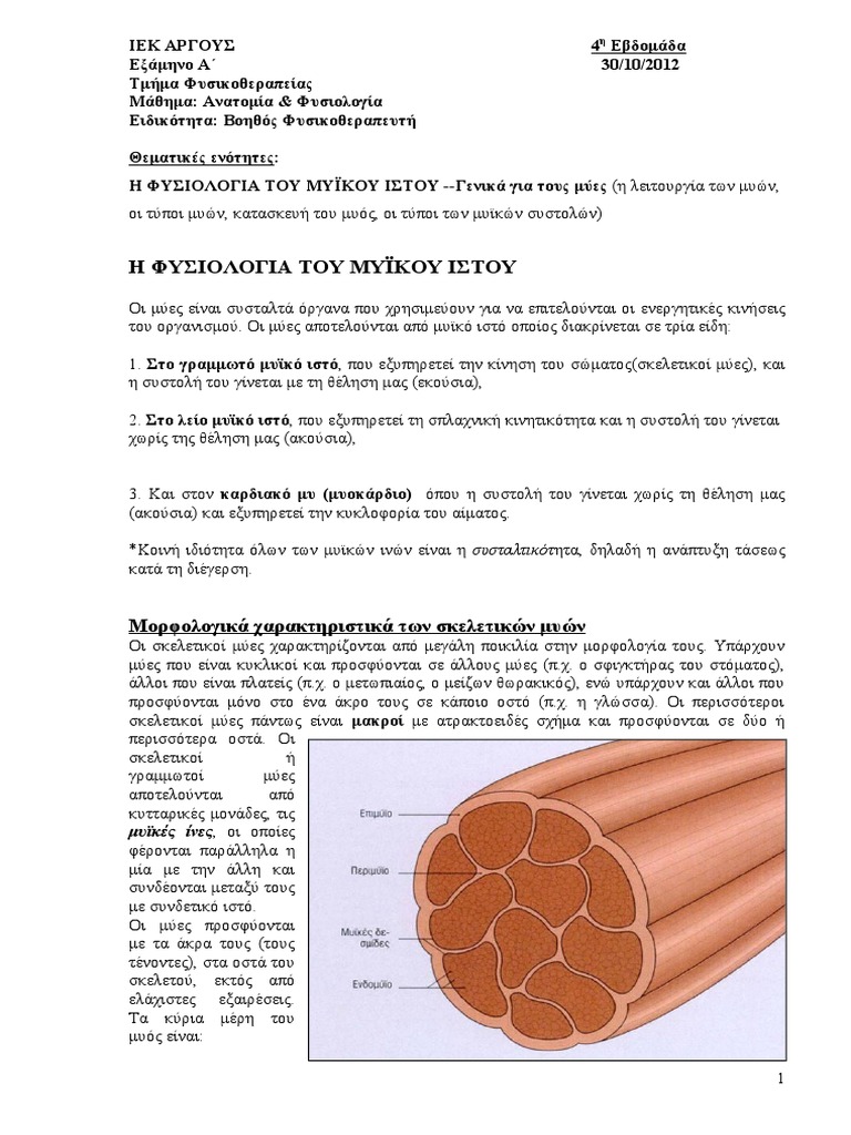 Η ΦΥΣΙΟΛΟΓΙΑ ΤΟΥ ΜΥΪΚΟΥ ΙΣΤΟΥ | PDF