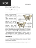TO ΟΥΡΟΠΟΙΗΤΙΚΟ ΣΥΣΤΗΜΑ-ΑΝΑΤΟΜΙΑ | PDF