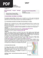 TO ΟΥΡΟΠΟΙΗΤΙΚΟ ΣΥΣΤΗΜΑ-ΑΝΑΤΟΜΙΑ | PDF