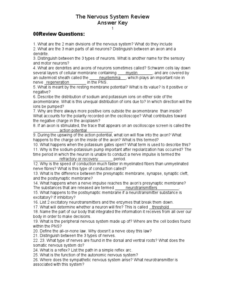 Nervous System Review Answer Key | Download Free PDF | Chemical Synapse ...