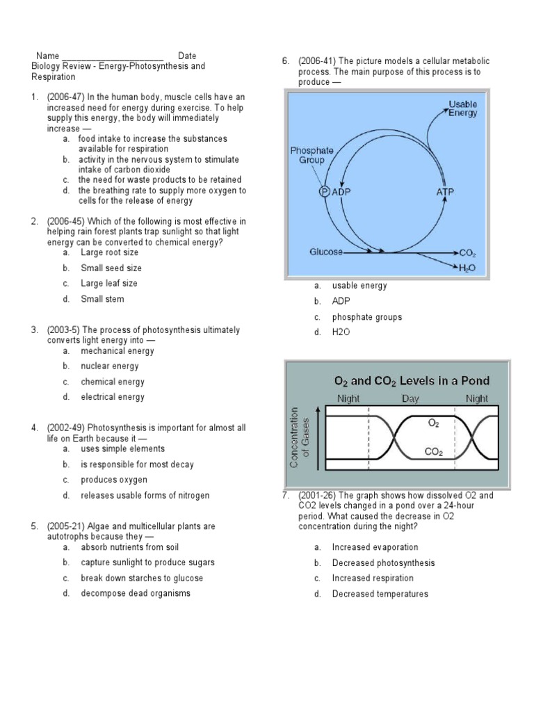 Biology Review: Photosynthesis & Respiration | PDF | Soil Science | Botany