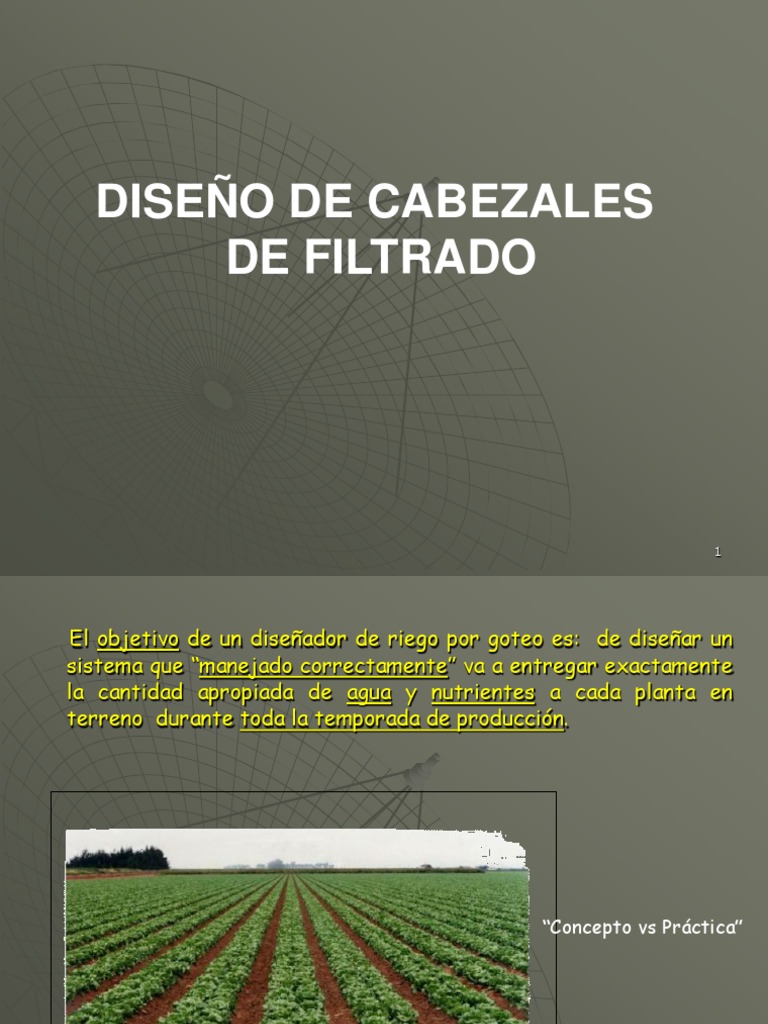 Cabezal de Riego Carlos Cruzado | PDF | Riego | Fertilizante