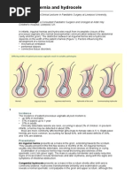 Congenital Anomalies: Prof Mrs. M. Radhika HOD, Dept of Nursing ...