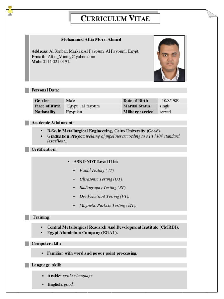 Standard CV | PDF