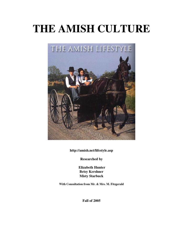 The Amish Culture | PDF | Amish | Health Care