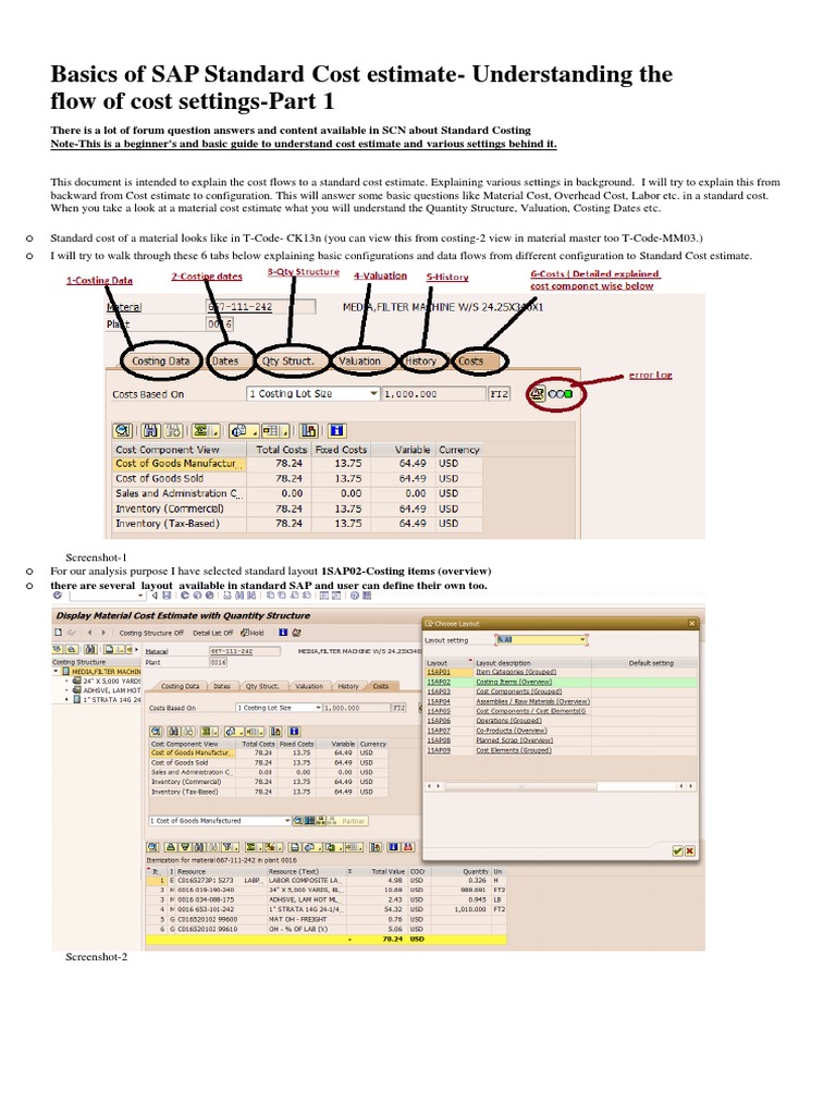 Basics Of Sap Standard Cost Estimate 1 Pdf Computing Business
