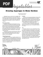 Row 7 Seed Co. Catalog | PDF | Cucurbita | Cucumber