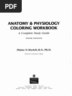 Human Anatomy Coloring Book | PDF