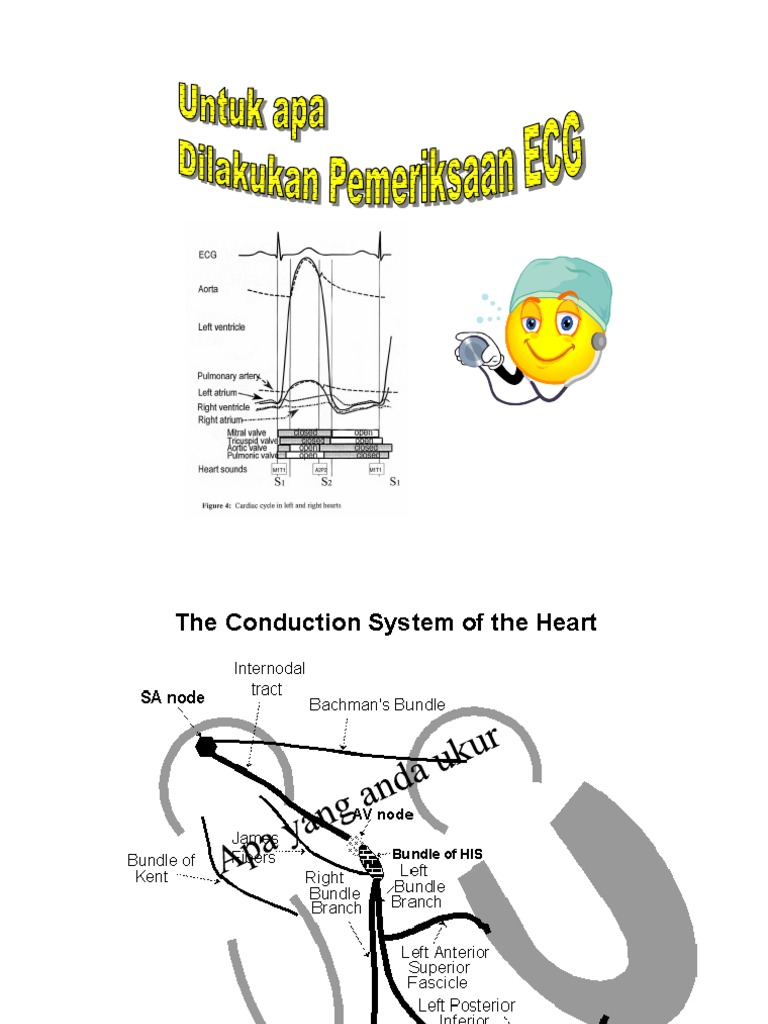 Membaca Ekg | Electrocardiography | Atrium (Heart)