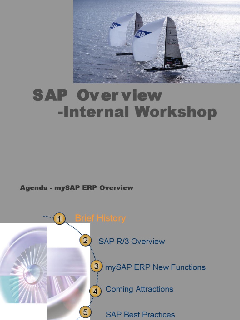 MySAP Overview | PDF | Supply Chain | Sap Se