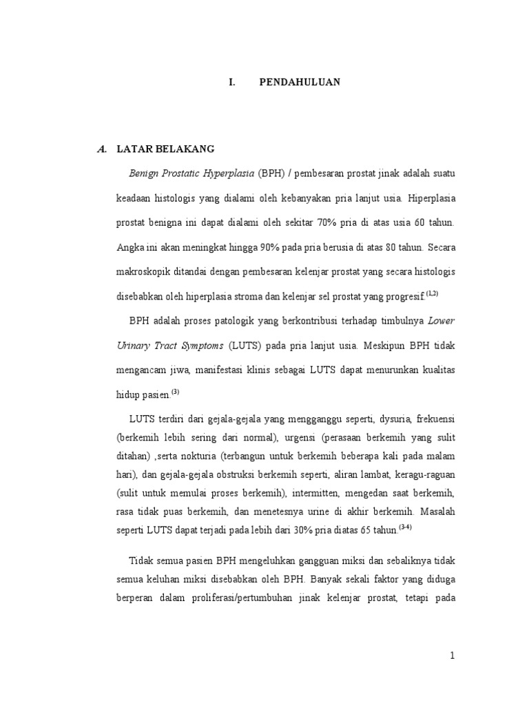 Referat BPH | PDF | Kesehatan Holistik