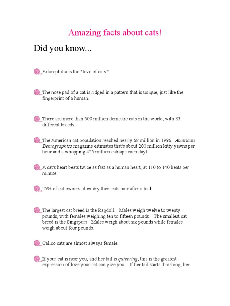 Amazing Facts About Cats | PDF | Kitten | Cats