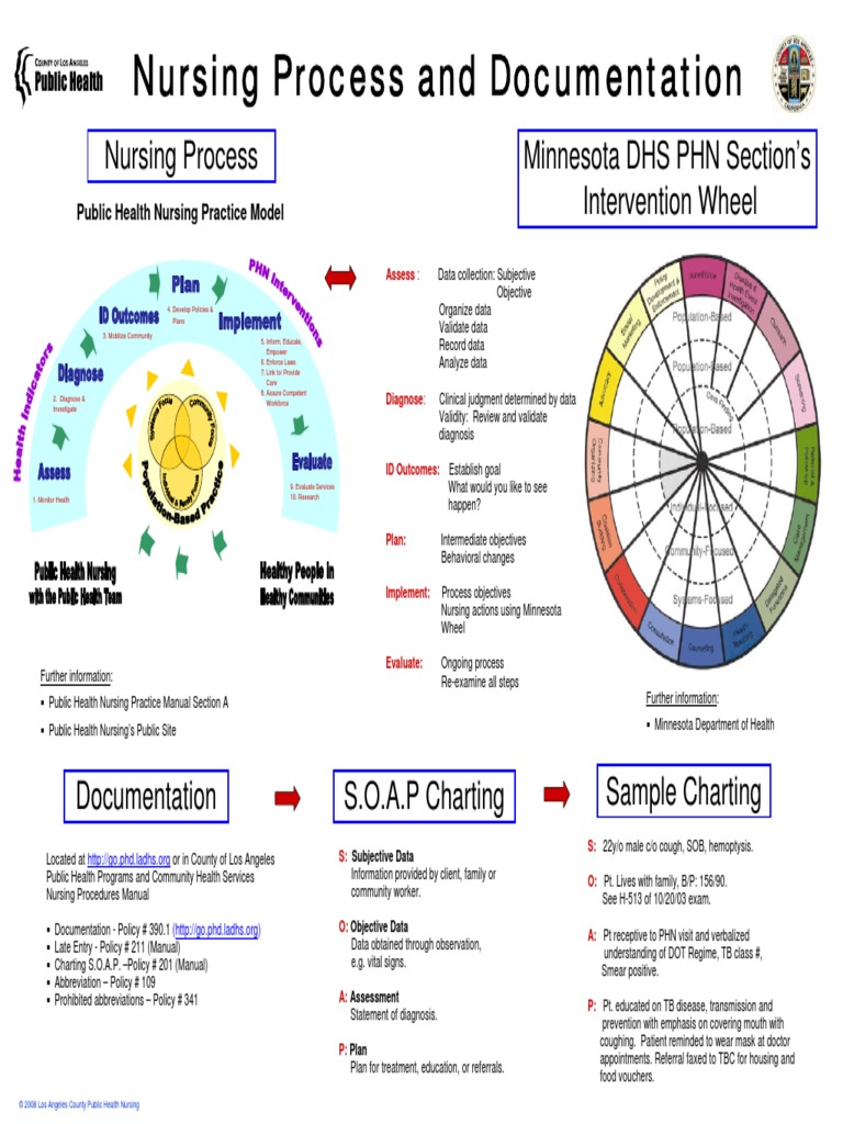 Nursing Process and Documentation: Nursing Process Minnesota DHS PHN ...
