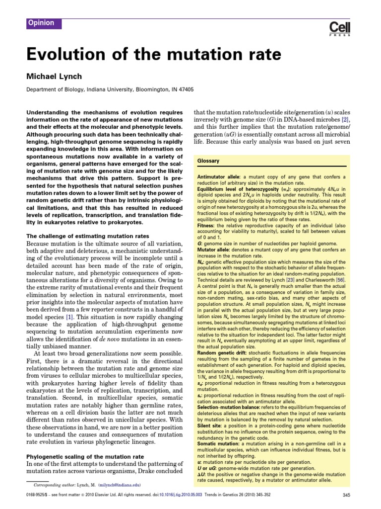 Evolution of Mutation Re | Download Free PDF | Mutation | Natural Selection