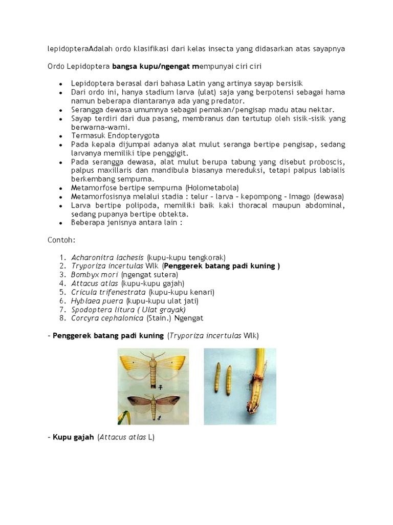 Ciri dan Contoh Hama Lepidoptera | PDF | Dewasa Muda