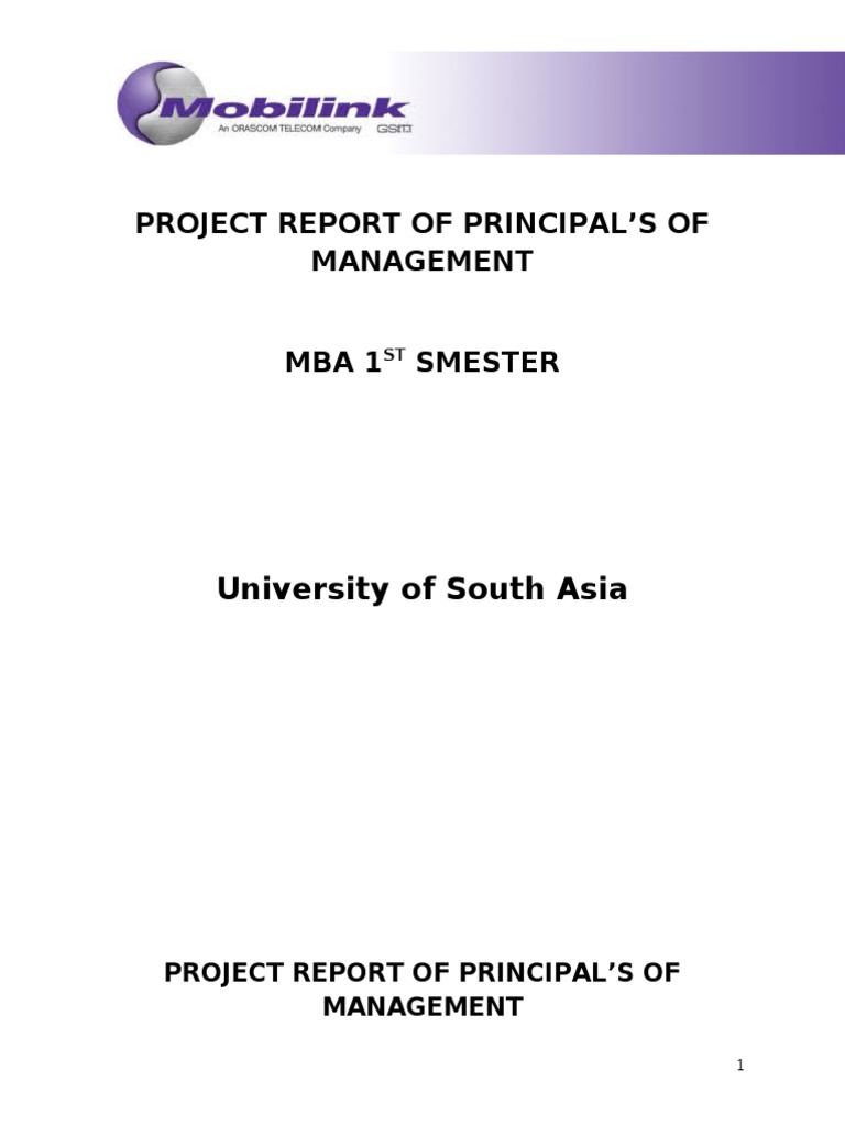 Mobilink Management Project Report | PDF