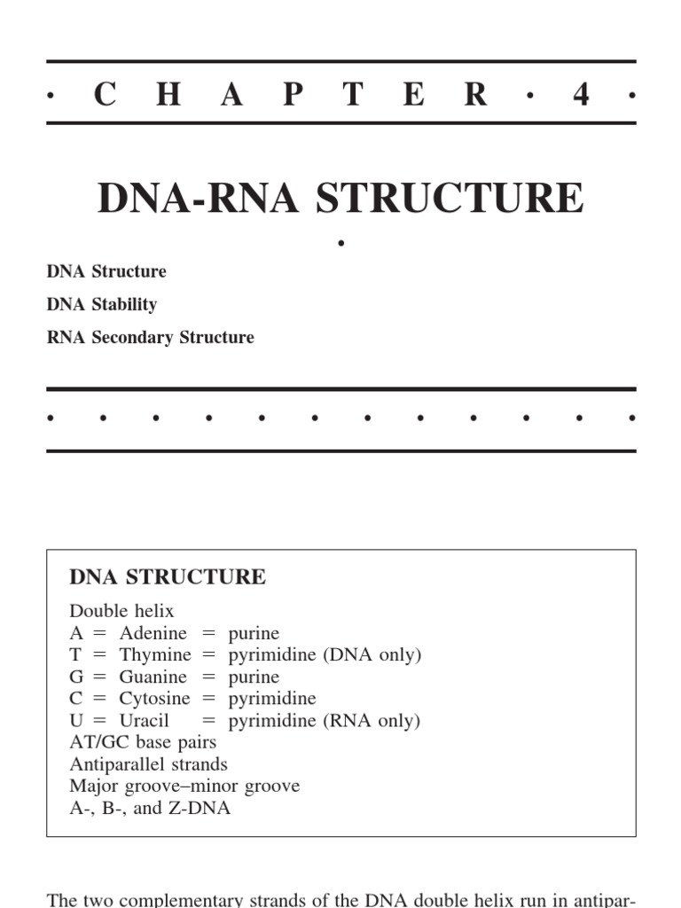 DNA and RNA Structure | PDF | Nucleic Acid Double Helix | Base Pair