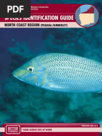 Queensland Fish Size and Bag Limits | PDF