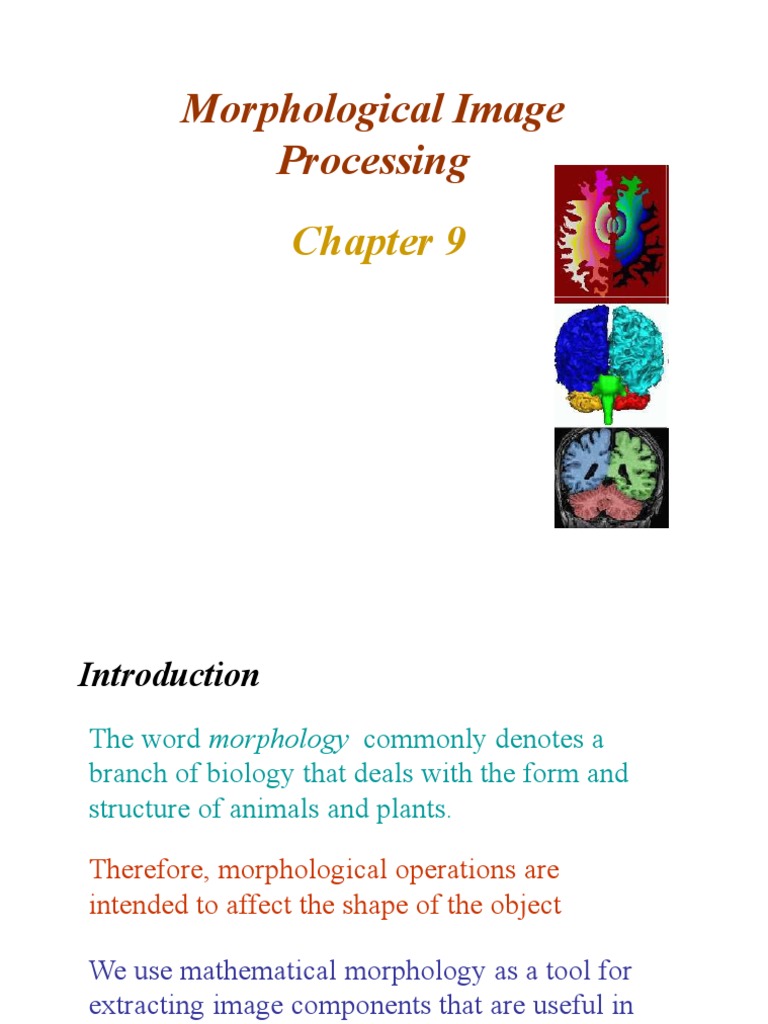 Ch9 - Morphological Image Processing | PDF | Image Segmentation | Areas Of Computer Science