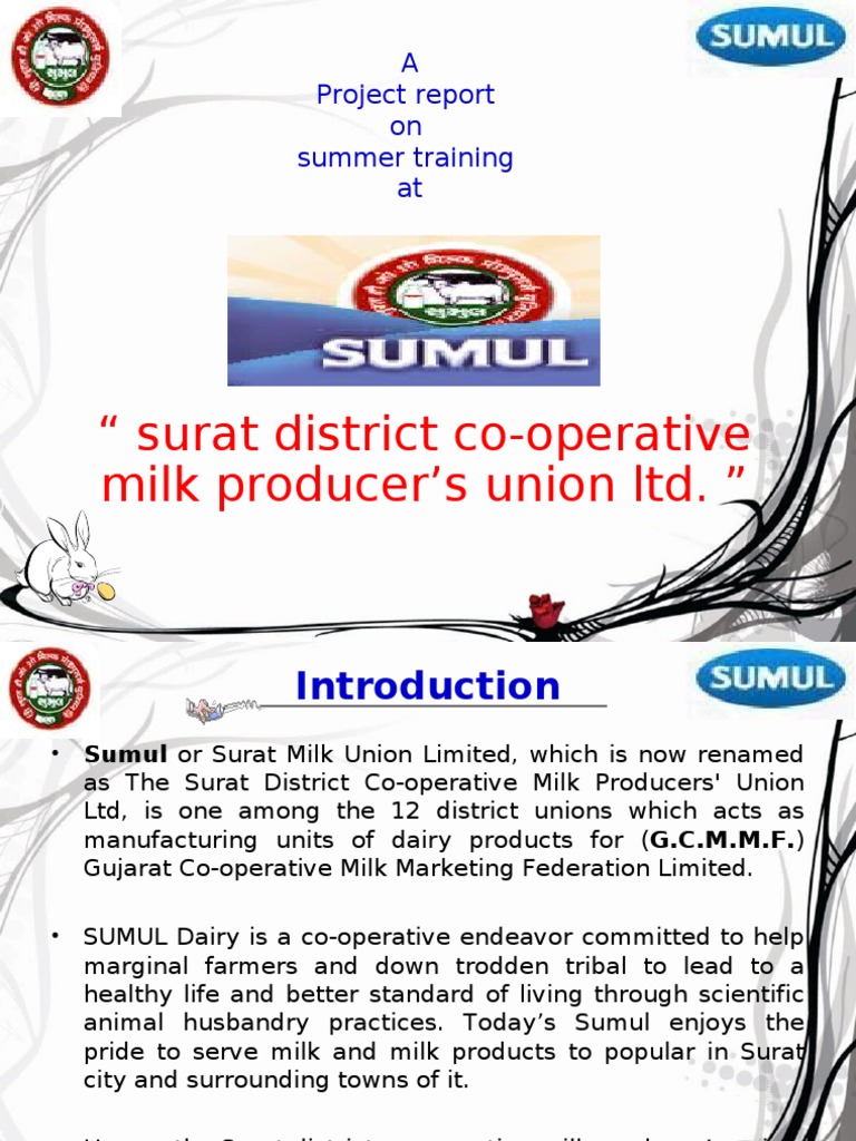 Sumul | PDF | Working Capital | Dairy