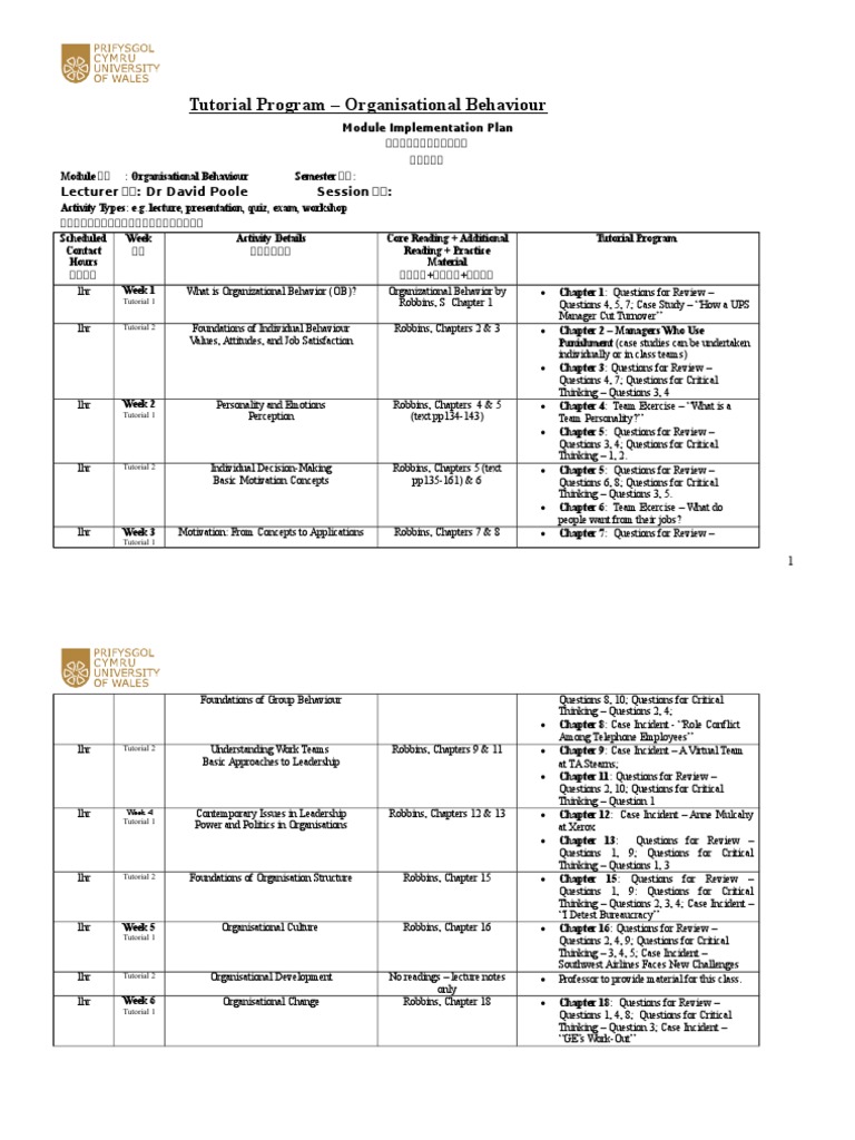 Organisational Behaviour Tutorial-Programfinal | PDF
