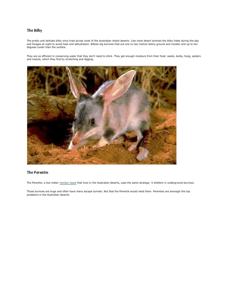 Praneel Australian Wildlife | PDF