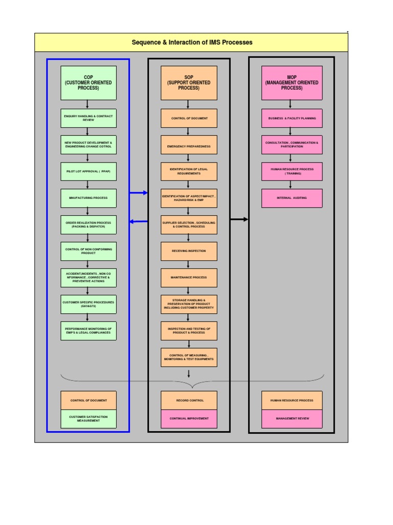 IMS Process Interaction Overview | PDF
