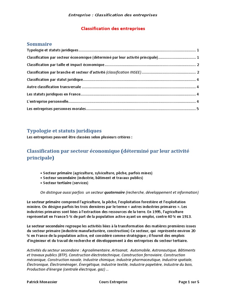 Classification des Entreprises | PDF | Business | Business (Général)