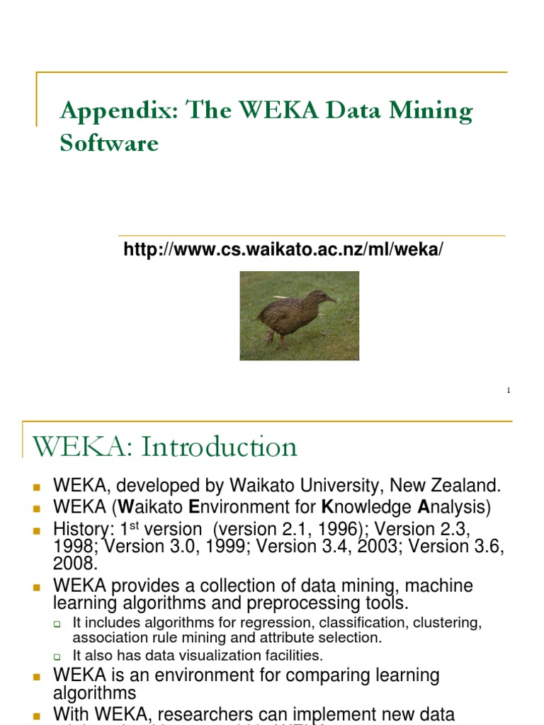 Appendix Weka | PDF | Data Mining | Data