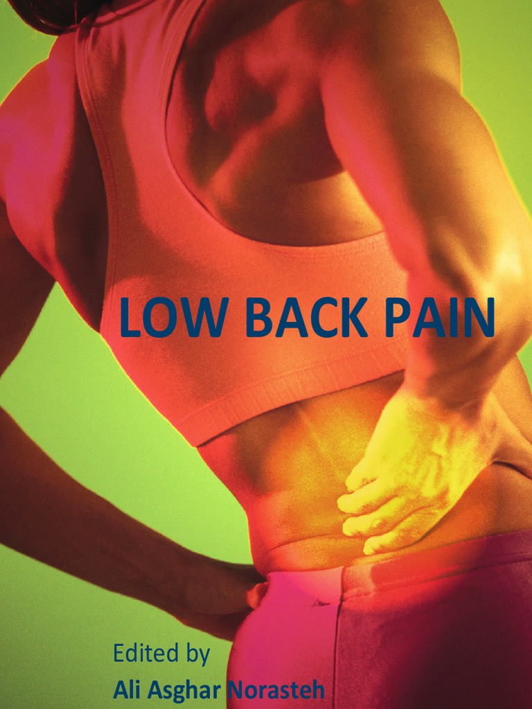 Low Back Pain, 2O12 | PDF | Epidemiology | Preventive Healthcare