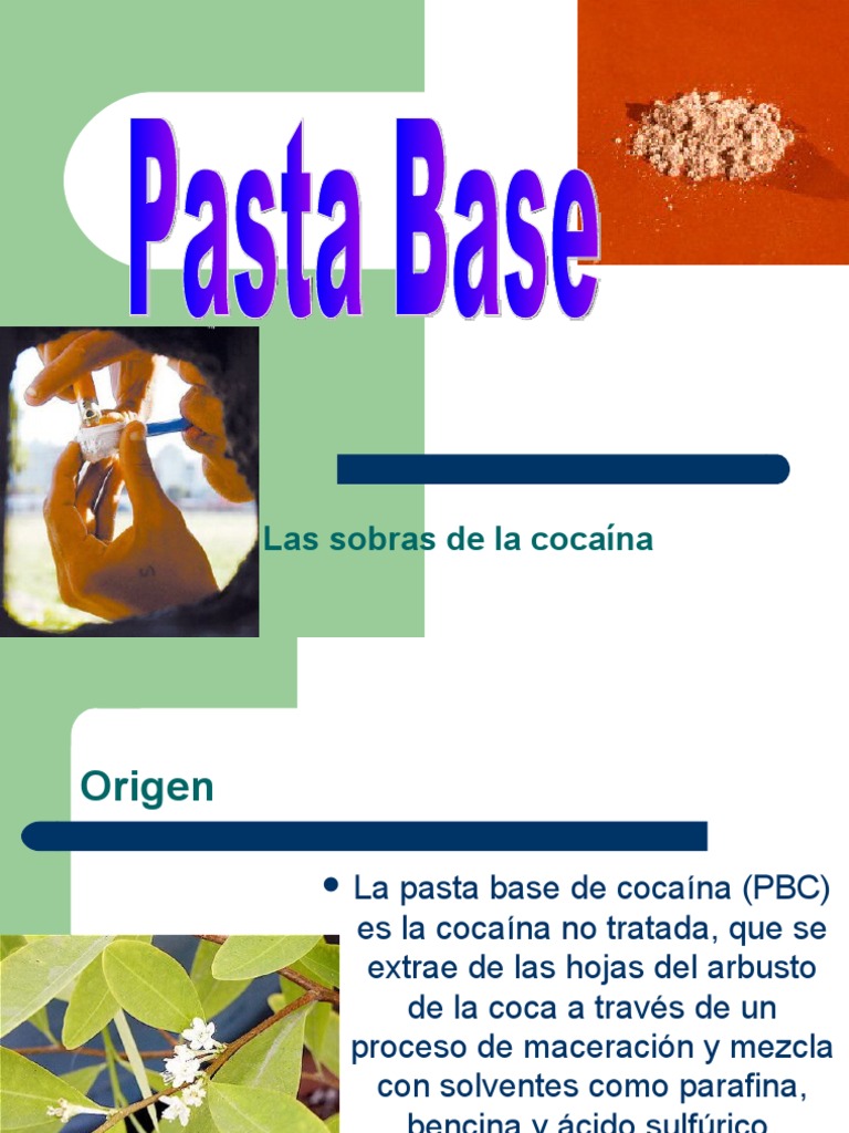 Proceso y Efectos de la Pasta Base | PDF | Cocaína | Especialidades Medicas