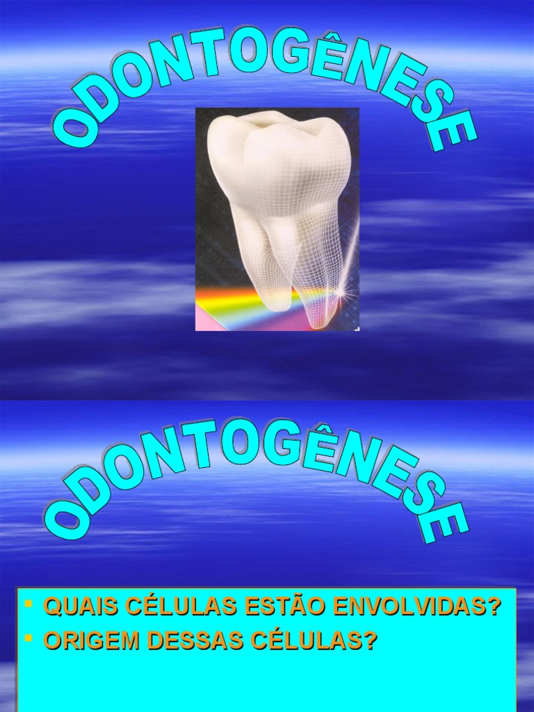 ODONTOGÊNESE | PDF | Ciências e Matemática