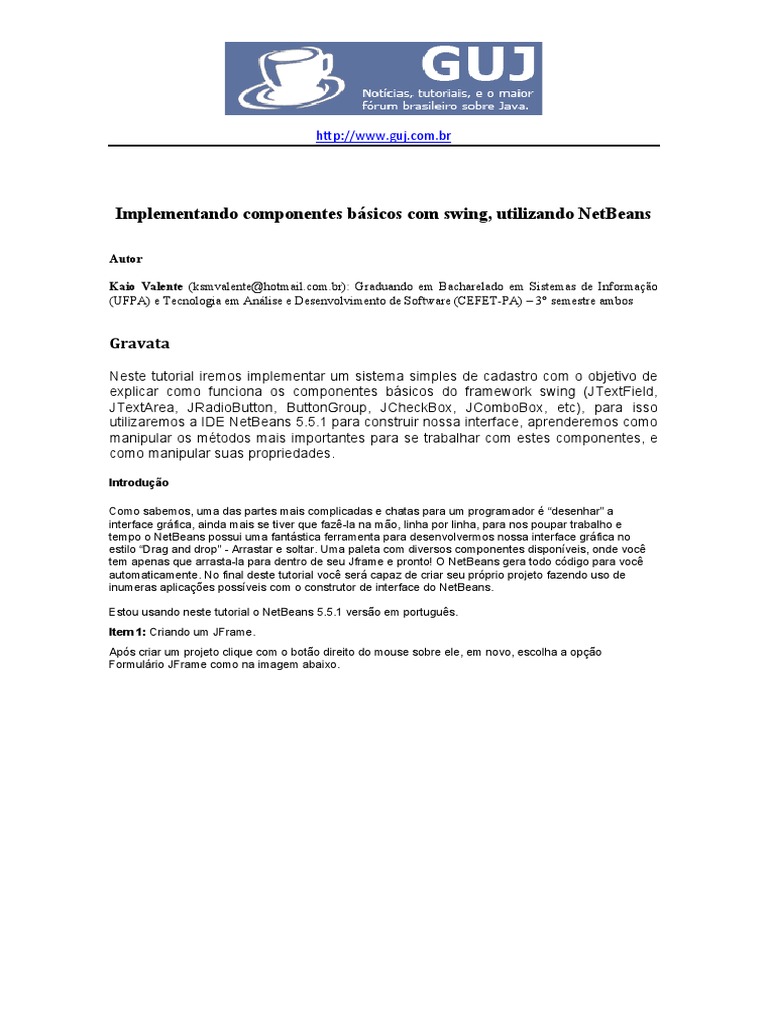 Java - Swing Com Netbeans GUJ | PDF
