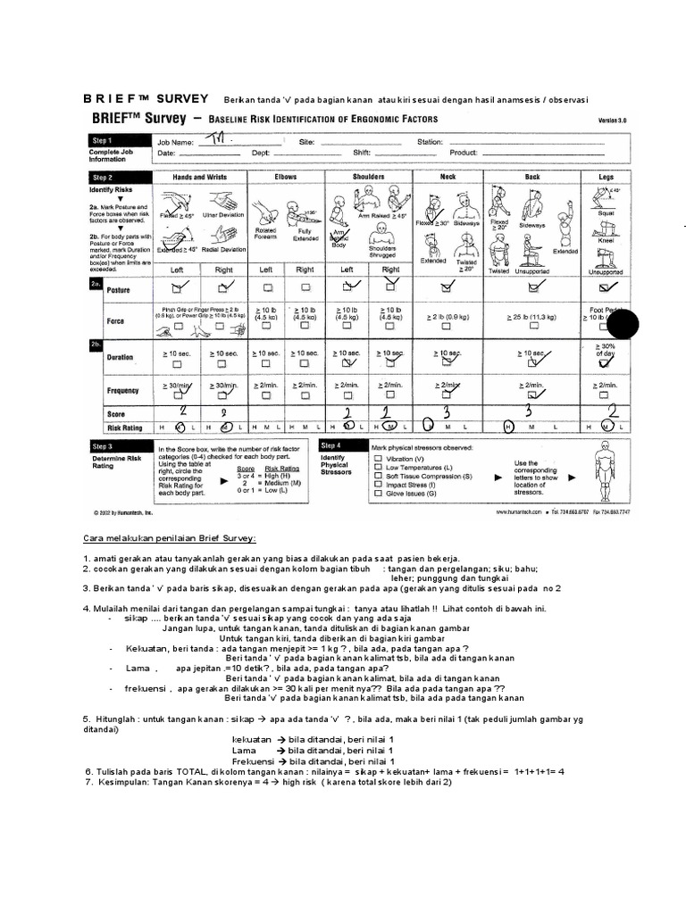 Brief Survey | PDF | Kajian Bahasa Asing | Pengembangan Diri