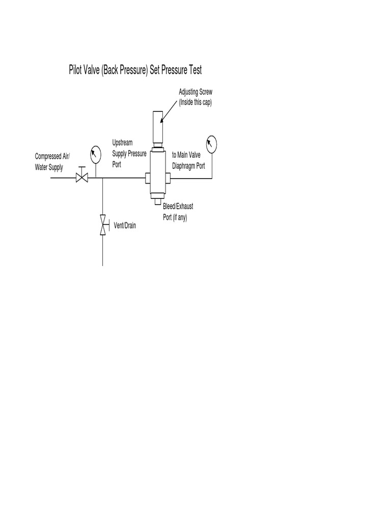 Pilot Valve Back Pressure Regulator Valves Setup | PDF