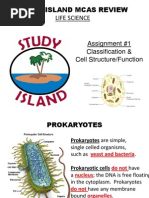 BC Science 8 Workbook Answers | PDF | Electromagnetic Spectrum ...
