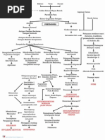 Pathway BPH (Benigna Prostat Hiperplasia) - Pabrik Pathway | PDF